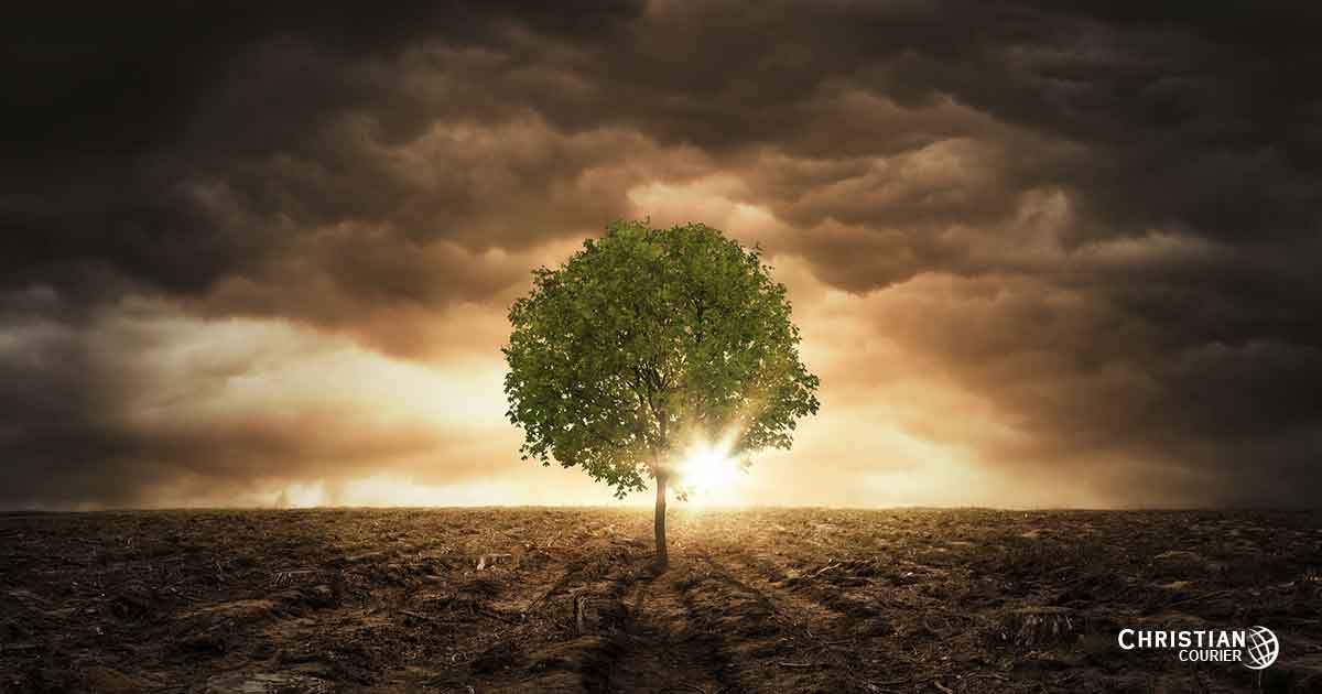 The Explosive Growth of the Kingdom of Christ | Christian Courier