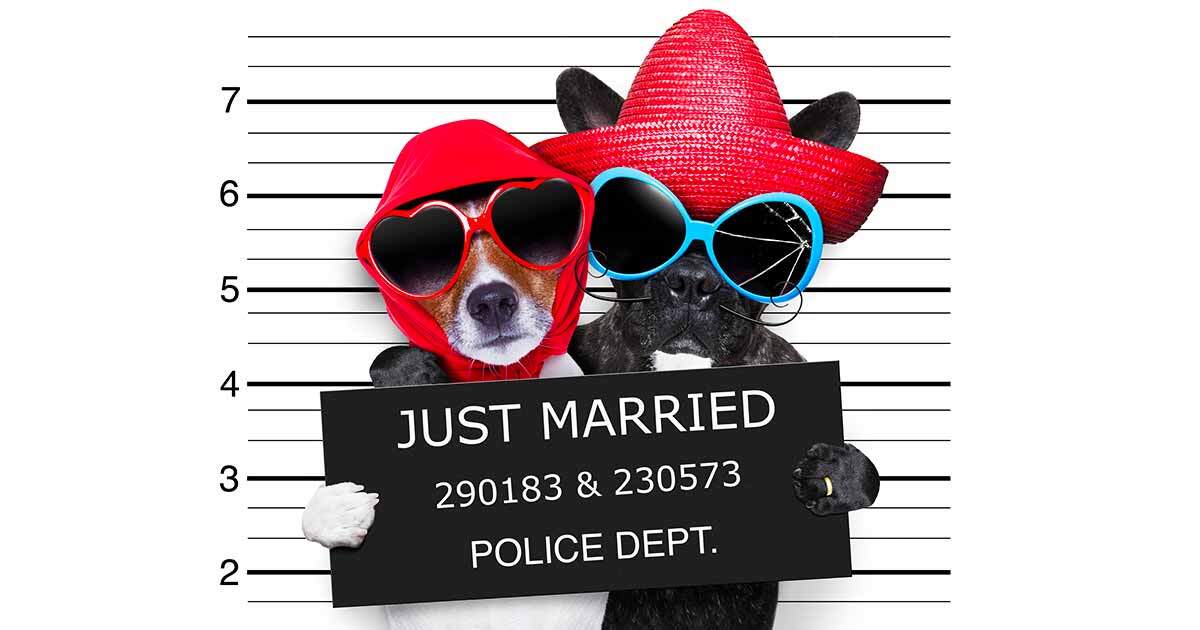 Foolish Reasons for Getting Married | Christian Courier