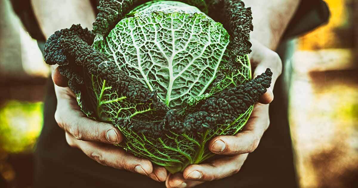 What Was the Nature of Cain's Sin? | Christian Courier